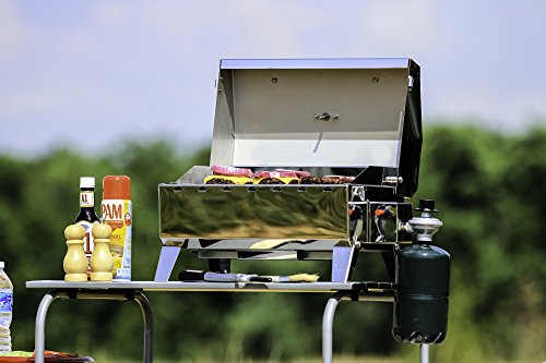 Camco Grill-Stow N Go 125 Portable Propane Gas Grill with Push Button Igniter, Temperature Gauge, and Storage Bag for RV, Tailgating, and Camping