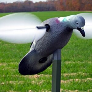 MOJO Outdoors Pigeon Decoy, Small 51-55cm,Multi,One Size,HW2410