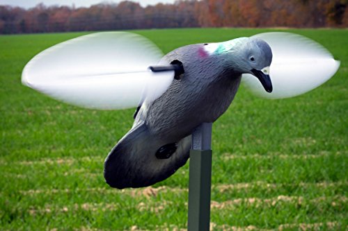 MOJO Outdoors Pigeon Decoy, Small 51-55cm,Multi,One Size,HW2410