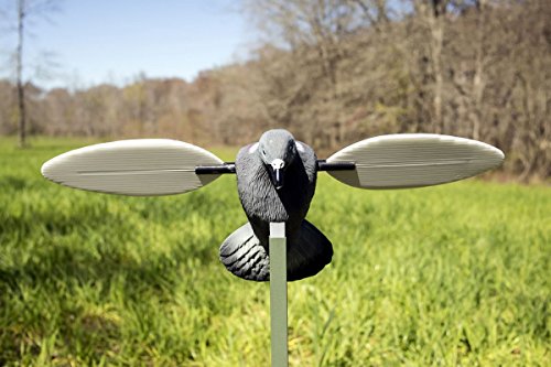 MOJO Outdoors Pigeon Decoy, Small 51-55cm,Multi,One Size,HW2410