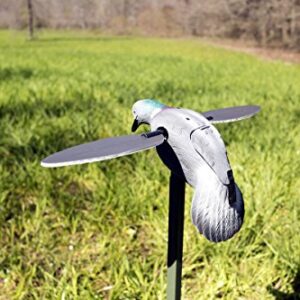 MOJO Outdoors Pigeon Decoy, Small 51-55cm,Multi,One Size,HW2410