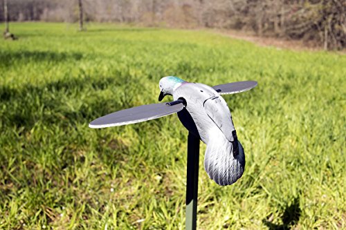 MOJO Outdoors Pigeon Decoy, Small 51-55cm,Multi,One Size,HW2410