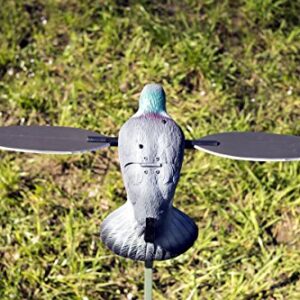 MOJO Outdoors Pigeon Decoy, Small 51-55cm,Multi,One Size,HW2410