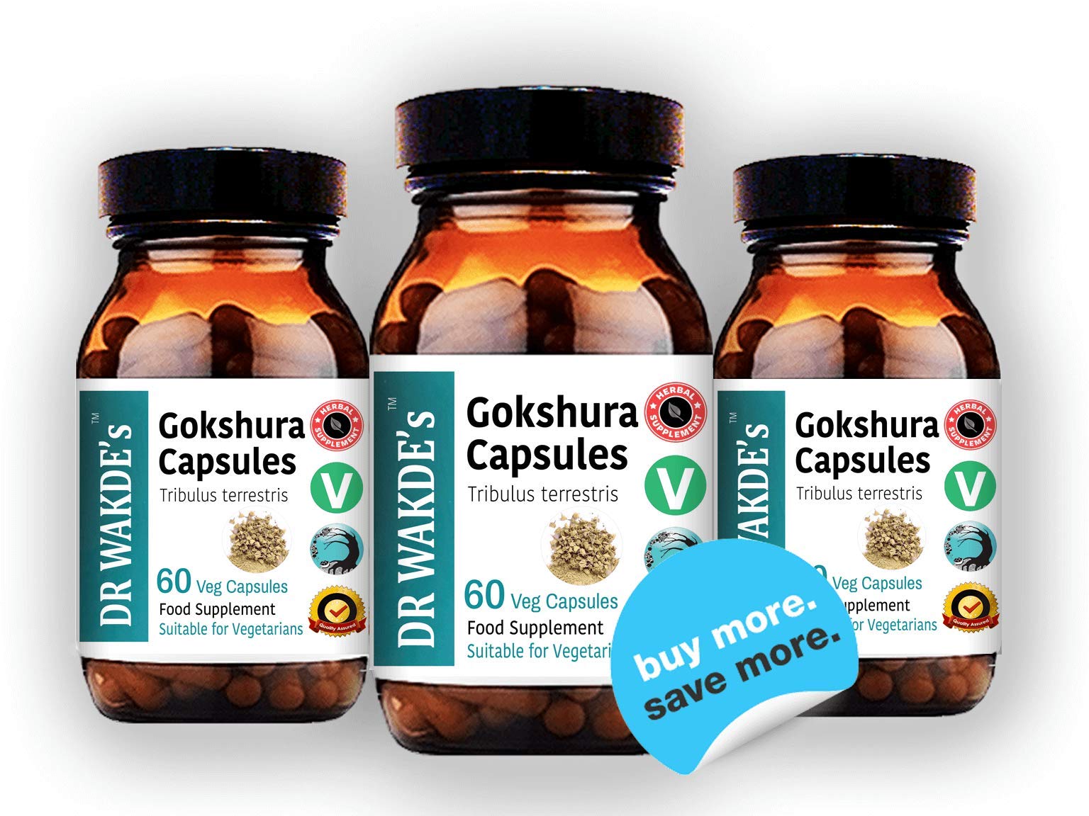 DR WAKDE'S Gokshura Capsules (Tribulus terrestris, 60 Veg Caps, Plant-Based Supplement, Ayurvedic Herb, All Natural, Vegan)