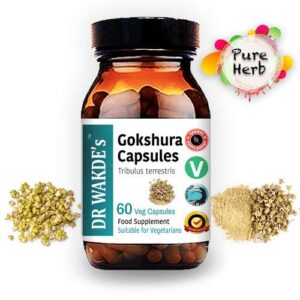 DR WAKDE'S Gokshura Capsules (Tribulus terrestris, 60 Veg Caps, Plant-Based Supplement, Ayurvedic Herb, All Natural, Vegan)