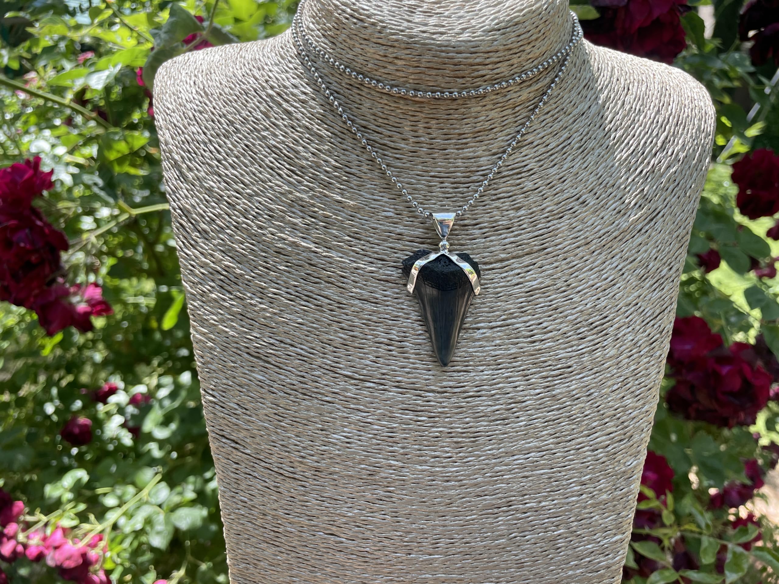 Starborn Fossil Shark Tooth Pendant in Sterling Silver - MD