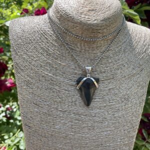 Starborn Fossil Shark Tooth Pendant in Sterling Silver - MD