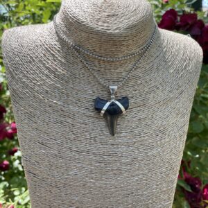 Starborn Fossil Shark Tooth Pendant in Sterling Silver - MD