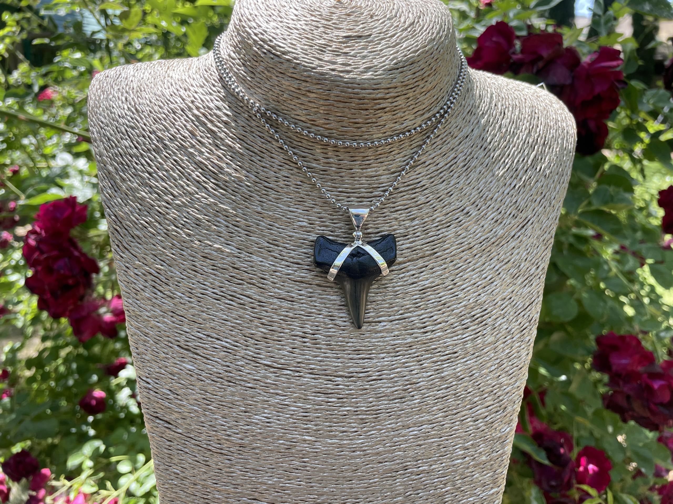 Starborn Fossil Shark Tooth Pendant in Sterling Silver - MD