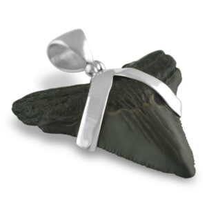 Starborn Fossil Shark Tooth Pendant in Sterling Silver - MD