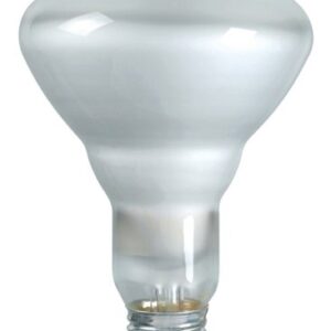 PHILIPS 248765 Soft White 65-Watt BR30 Indoor Flood Light Bulb, 12-Pack