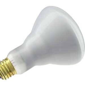 PHILIPS 248765 Soft White 65-Watt BR30 Indoor Flood Light Bulb, 12-Pack