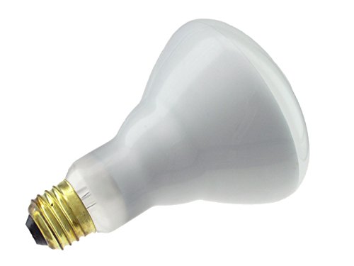 PHILIPS 248765 Soft White 65-Watt BR30 Indoor Flood Light Bulb, 12-Pack