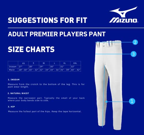 Mizuno Mens Premier Players Adult Baseball Pant With Elastic Bottom, Dark Charcoal, Small US