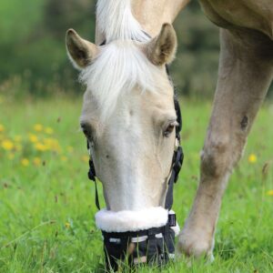 Shires Deluxe Grass Feeding Grazing Muzzle Full