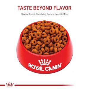 Royal Canin Large Aging 8+ Senior Dry Dog Food, 30 lb bag