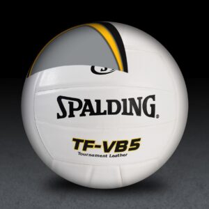 Spalding TF-VB5 White