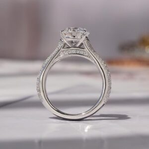 DoubleAccent Platinum Plated Sterling Silver Ring 2 CT Round CZ Stone Exquisite Wedding Engagement Ring (Size 5 to 9), 6