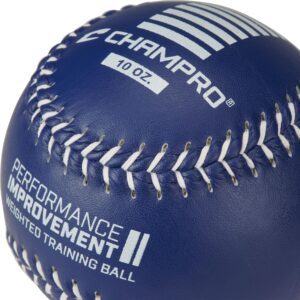 Champro Weighted Training Softballs - Leather Cover (10 oz.) (CSB7CS)