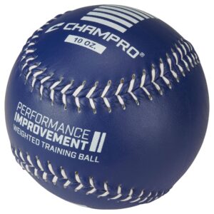 Champro Weighted Training Softballs - Leather Cover (10 oz.) (CSB7CS)