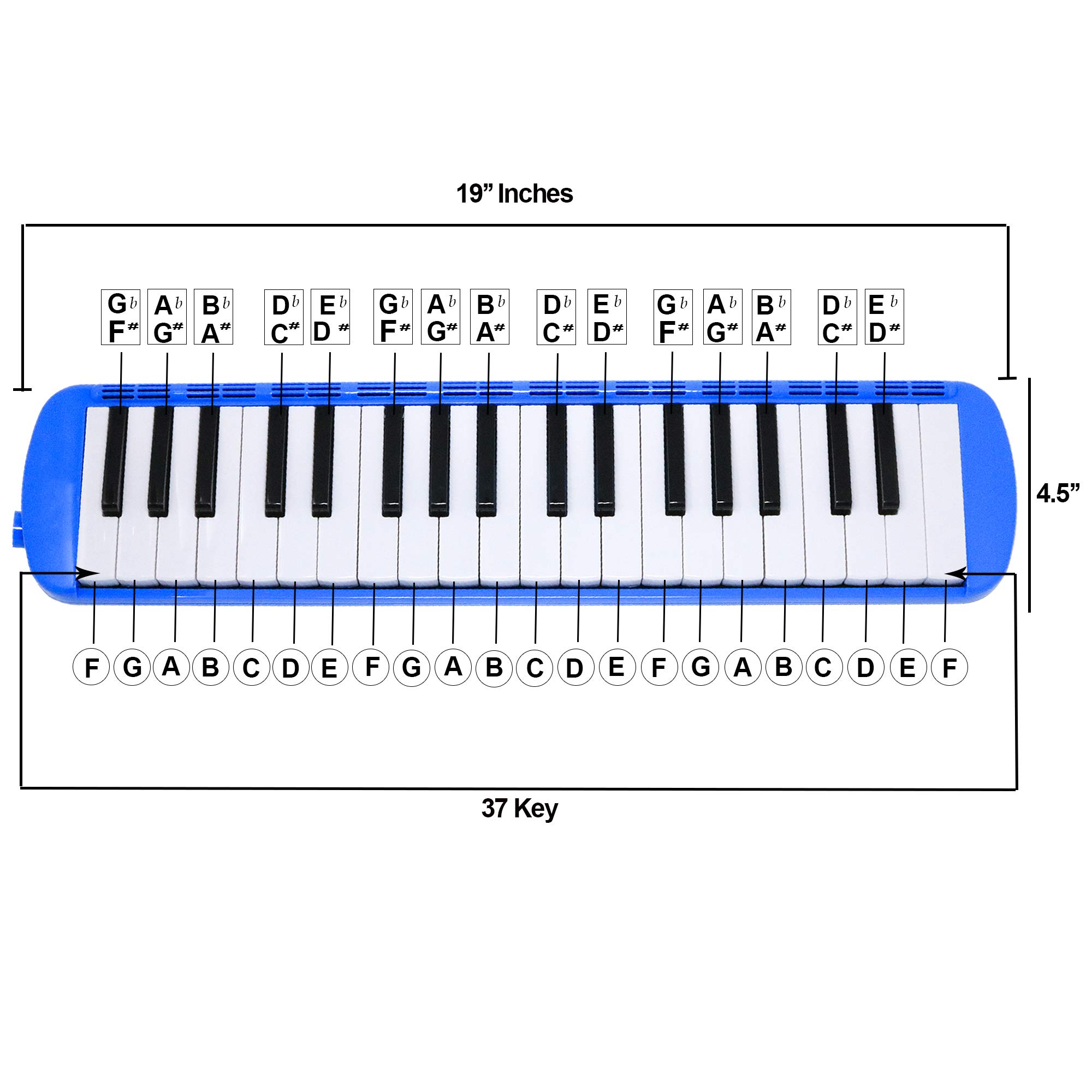 Fever Blue 37 Key Melodica with Protective Bag