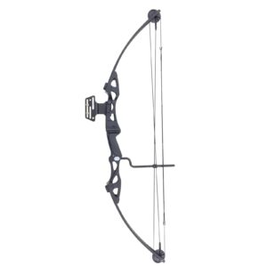 southland archery supply siege 55 lb 29'' compound bow target (black)