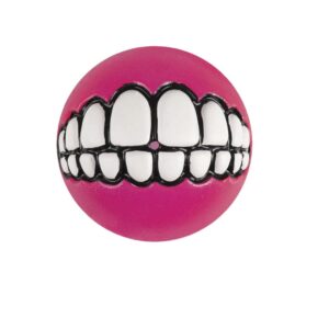 rogz fun dog treat ball in various sizes and colors, small, pink