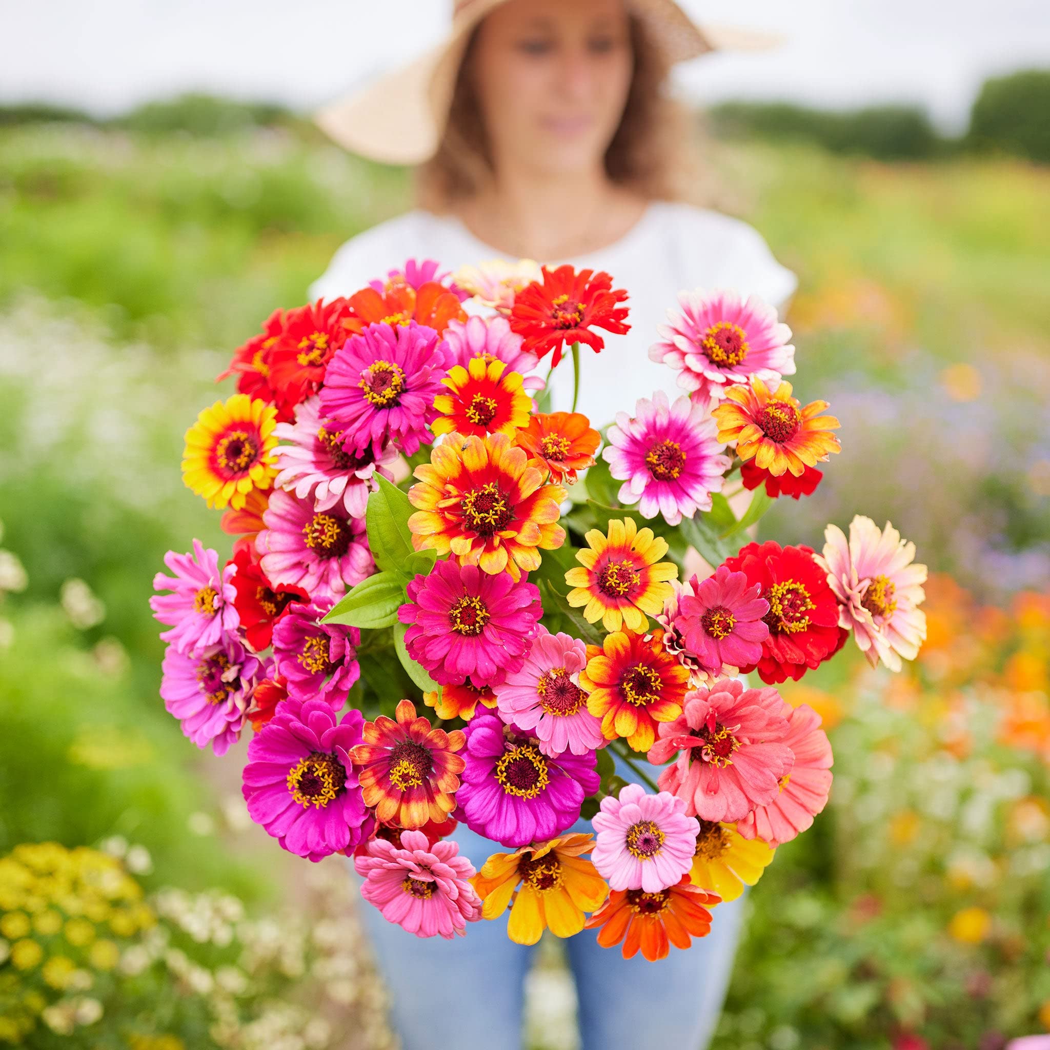 Eden Brothers Zinnia Seeds - Carrousel Mixed, Non-GMO Seeds for Planting, Packet | Low-Maintenance Flower Seeds, Plant During Spring, Zones 3, 4, 5, 6, 7, 8, 9, 10