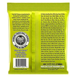 Ernie Ball 2221 Nickel Regular Slinky Electric Guitar Strings 3 Pack