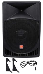 rockville rpg15 15" professional powered active 1,000 watt 2-way dj pa speaker