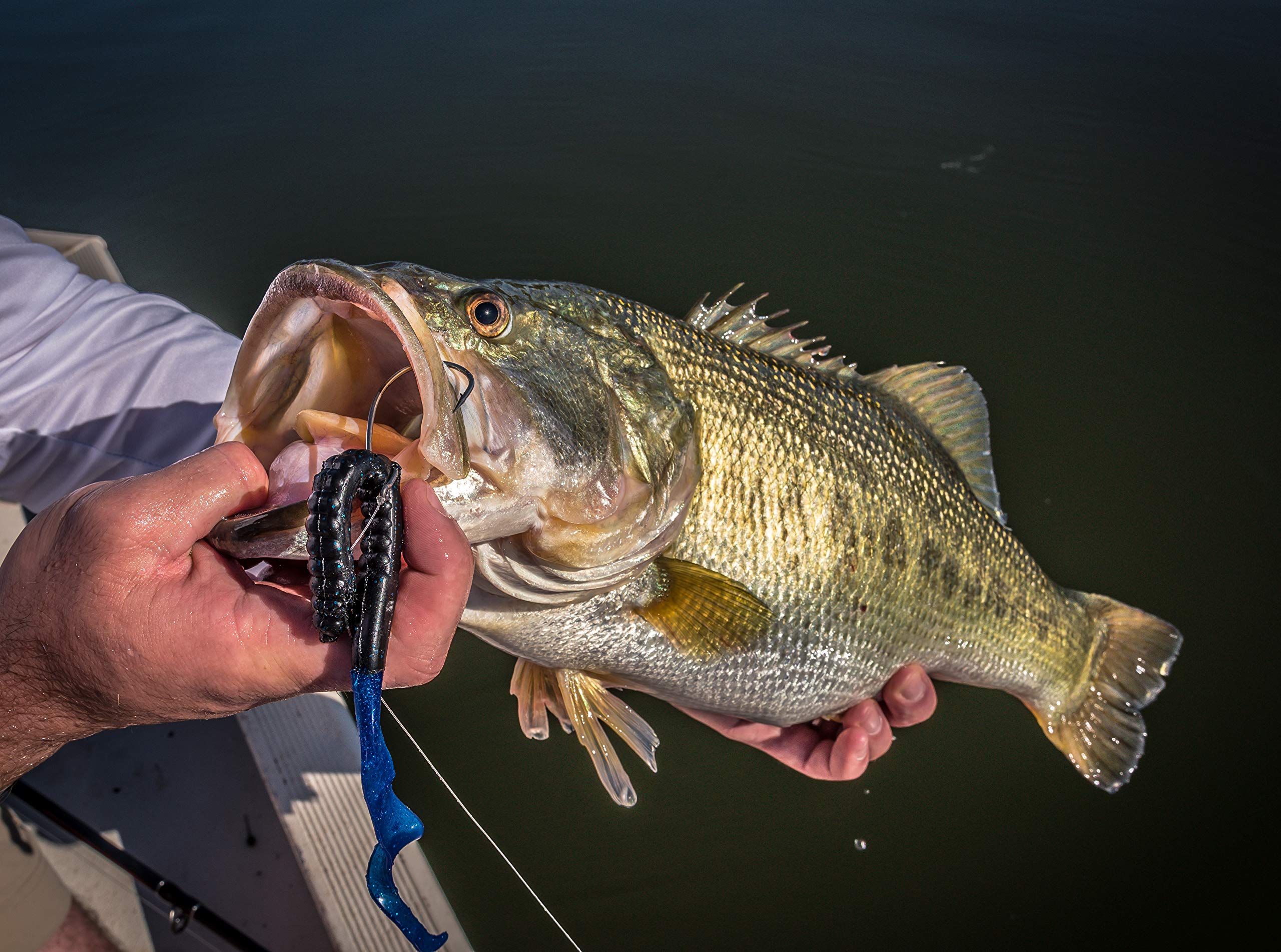 Berkley PowerBait® Power Worm Fishing Bait, Red Shad, 10in | 25cm, Irresistible Flavor, Classic Curly Tail Worm Profile, Ideal for Spring, Summer and Fall Fishing