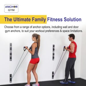 Anchor Gym CORE Station Three Workout Wall Mount Anchors, Ceiling Mounted Hook Exercise Station for Body Weight Straps, Resistance Bands, Strength Training, Yoga, Home Gym (Wood Screws Included)