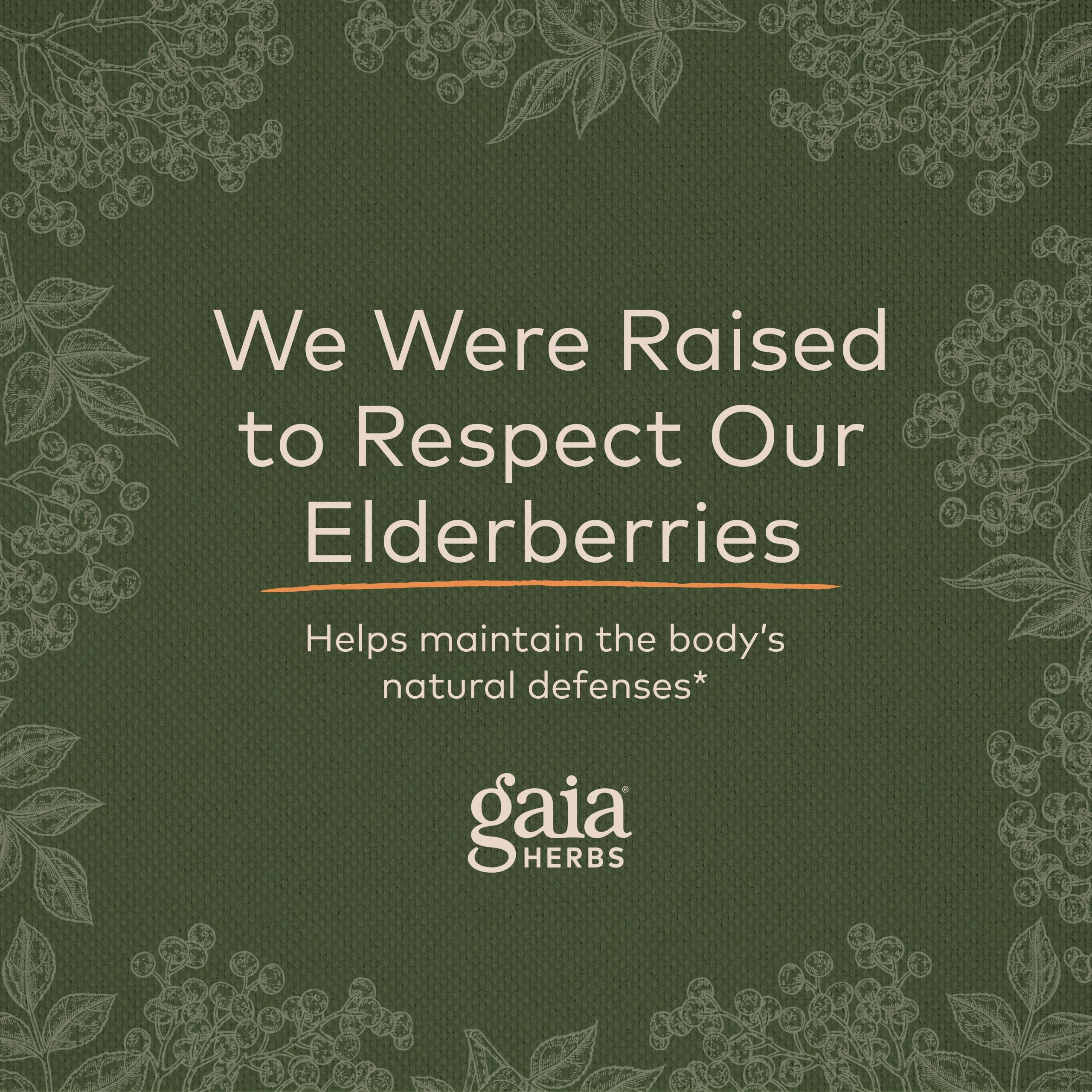 Gaia Herbs Black Elderberry Syrup, 5.4 Ounce