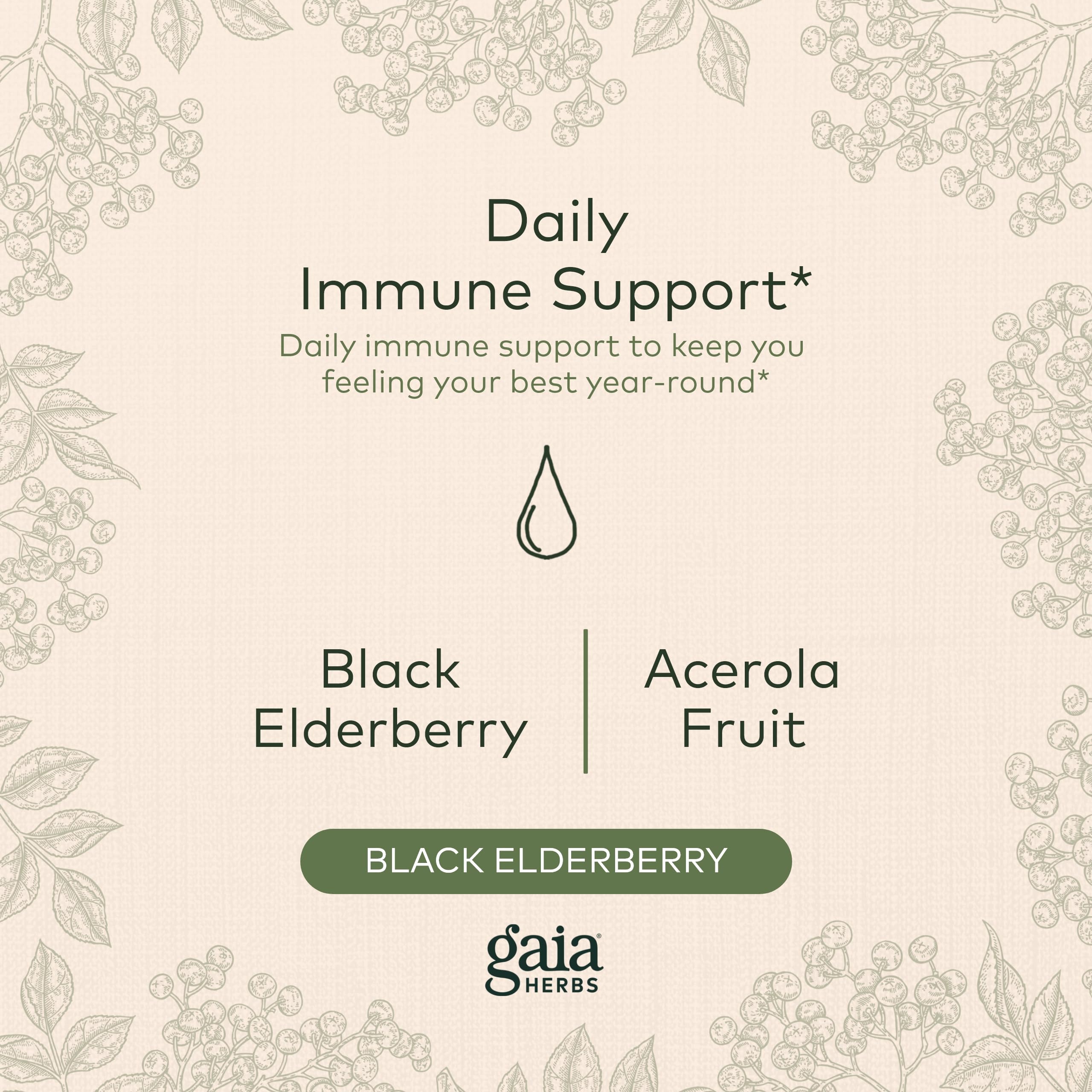 Gaia Herbs Black Elderberry Syrup, 5.4 Ounce