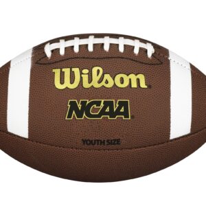 Wilson NCAA Composite Football - Youth Size, Brown