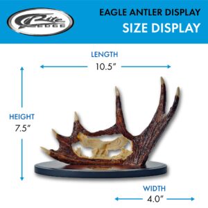 Szco Supplies 15" Etched Blade Deer Outdoor Hunting Knife With Resin Antler Display Stand,Brown