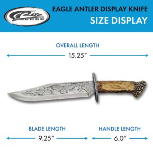 Szco Supplies 15" Etched Blade Deer Outdoor Hunting Knife With Resin Antler Display Stand,Brown