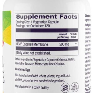 Healthy Origins Eggshell Membrane (NEM), 500 mg - Natural Collagen and Joint Support Supplement - Gluten-Free Supplement - 120 Veggie Capsules