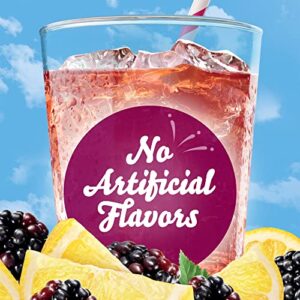 Crystal Light Sugar-Free Zero Calorie Liquid Water Enhancer - Blackberry Lemonade Water Flavor Drink Mix (1.62 fl oz Bottle)