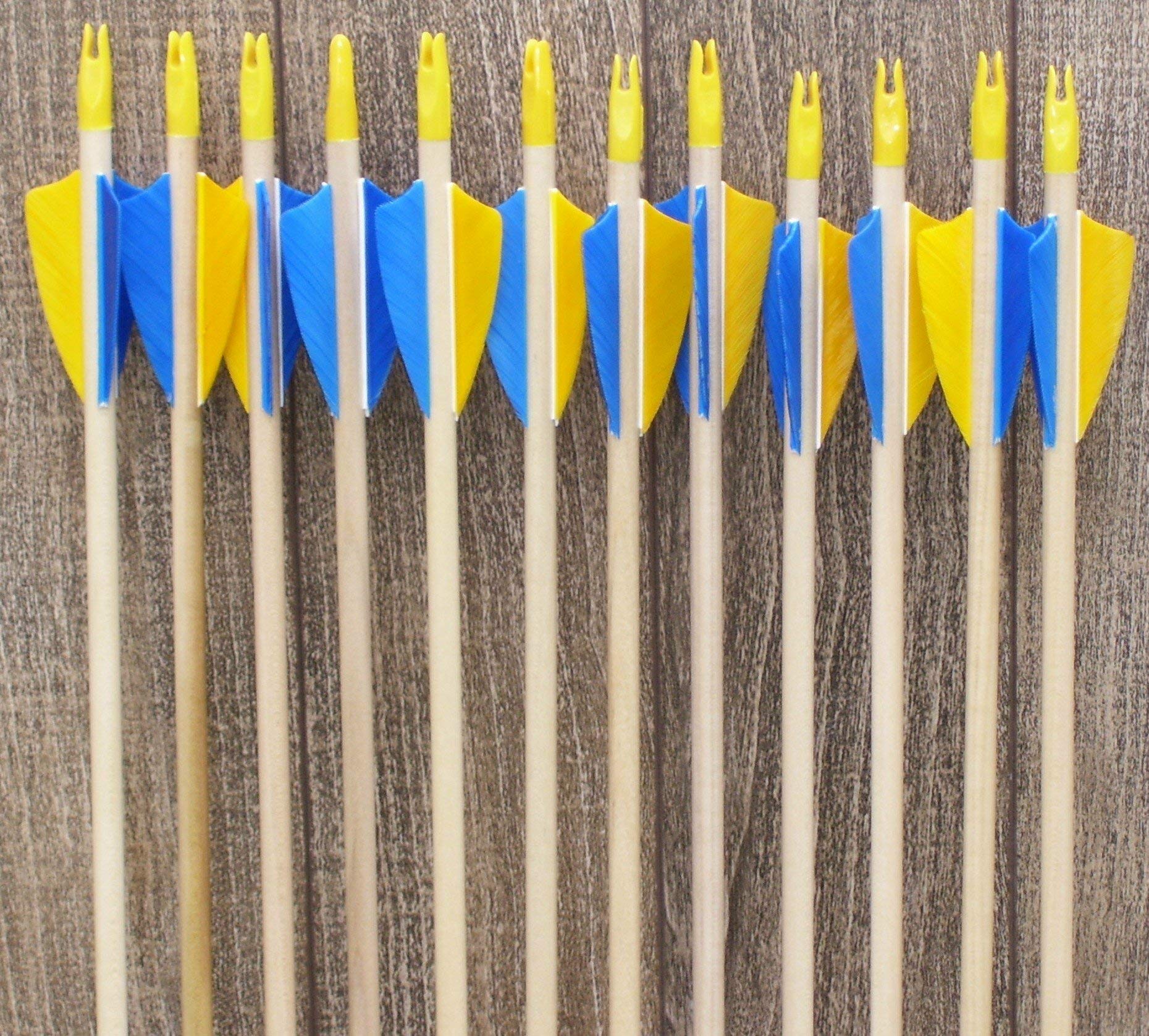 Youth Economy Wood Arrows Yellow and Blue (12)