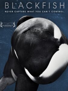 blackfish