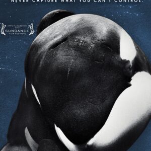 Blackfish