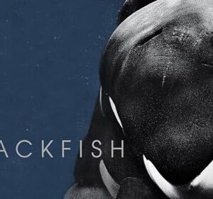 Blackfish