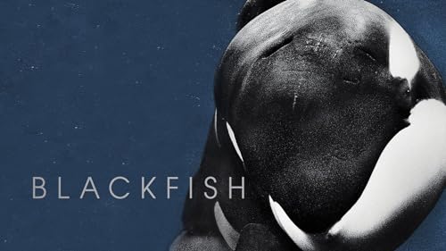 Blackfish