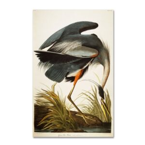 great blue heron artwork by john james audubon, 22 by 32-inch canvas wall art