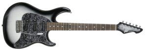 peavey raptor custom silverburst electric guitar