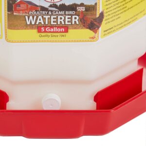 Little Giant Plastic Poultry Waterer