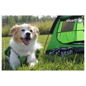 alcott Pup Tent, One Size, Green