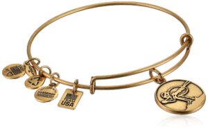 alex and ani "team usa winter" skiing expandable wire rafaelian gold-tone bangle bracelet