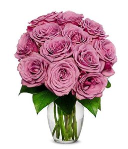 from you flowers - one dozen purple roses with glass vase (fresh flowers) birthday, anniversary, get well, sympathy, congratulations, thank you